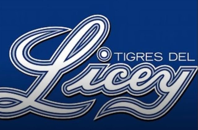 Licey anuncia la integración del prospecto dominicano Johan Rojas ...